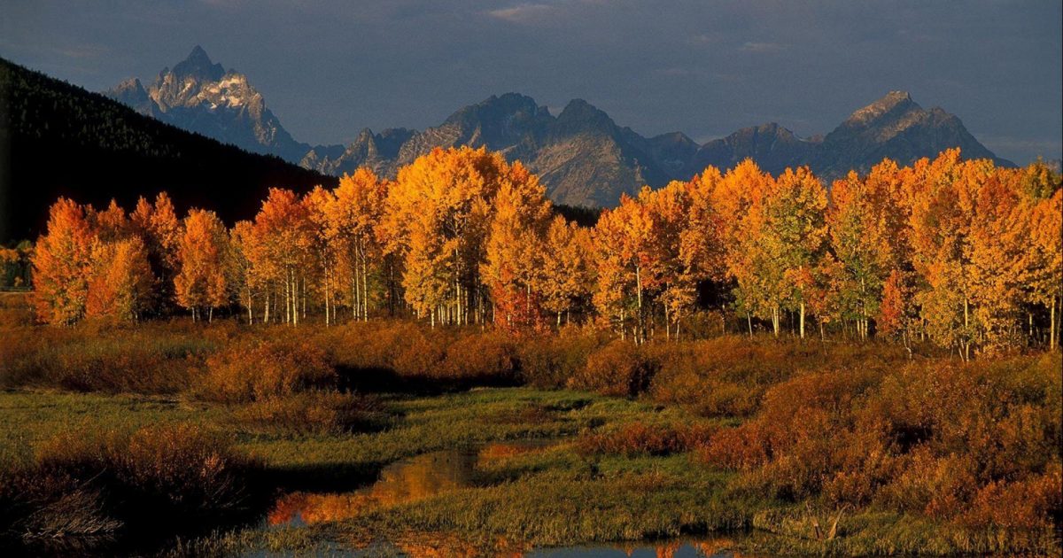 Top Things to Do in Fall - JH