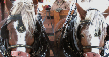 Mill Iron Ranch Dinner Sleigh Rides - Jackson Hole WY